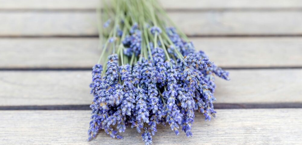 British CBD | A Quick Guide To Terpenes